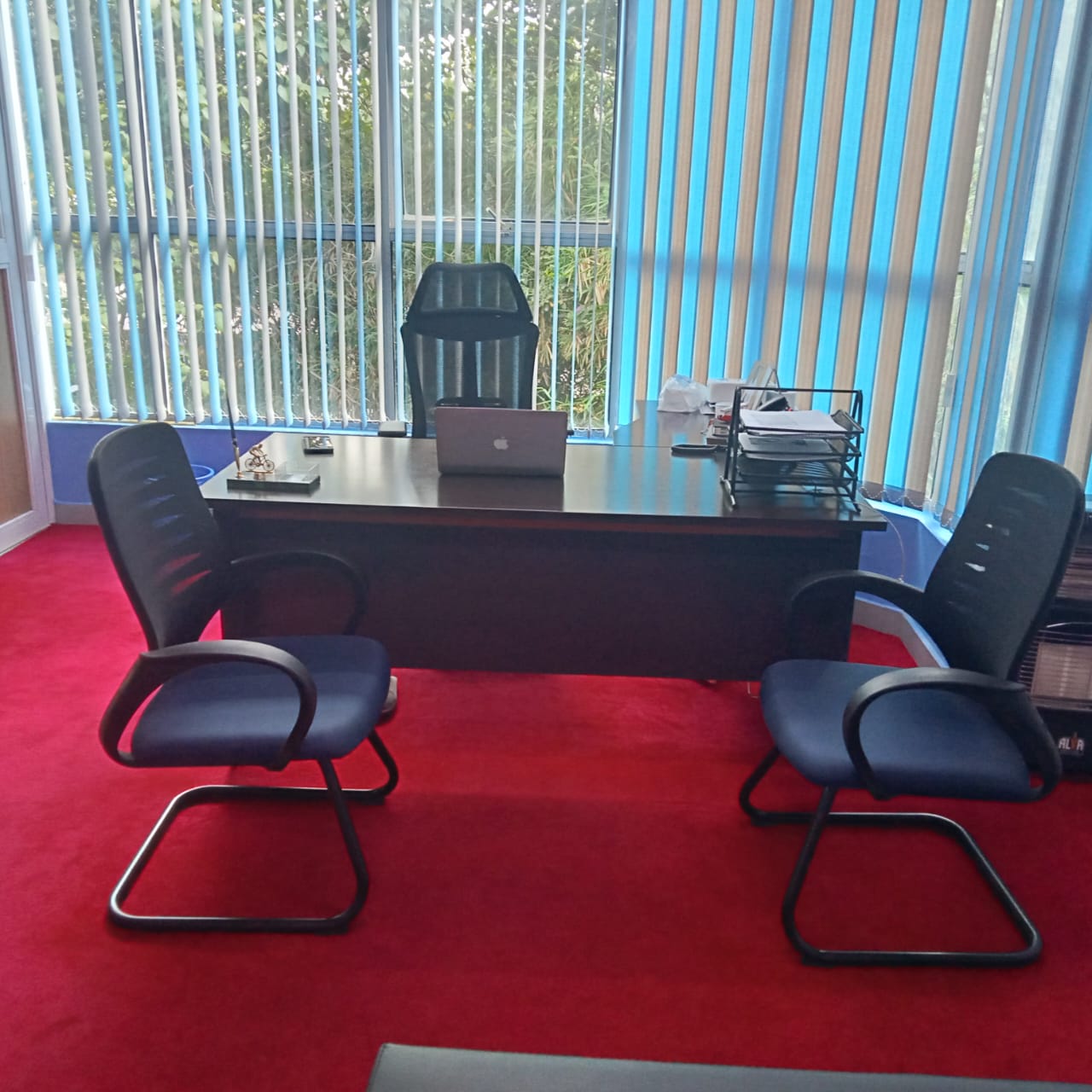 Why Professional Cleaning is Essential for Your Home